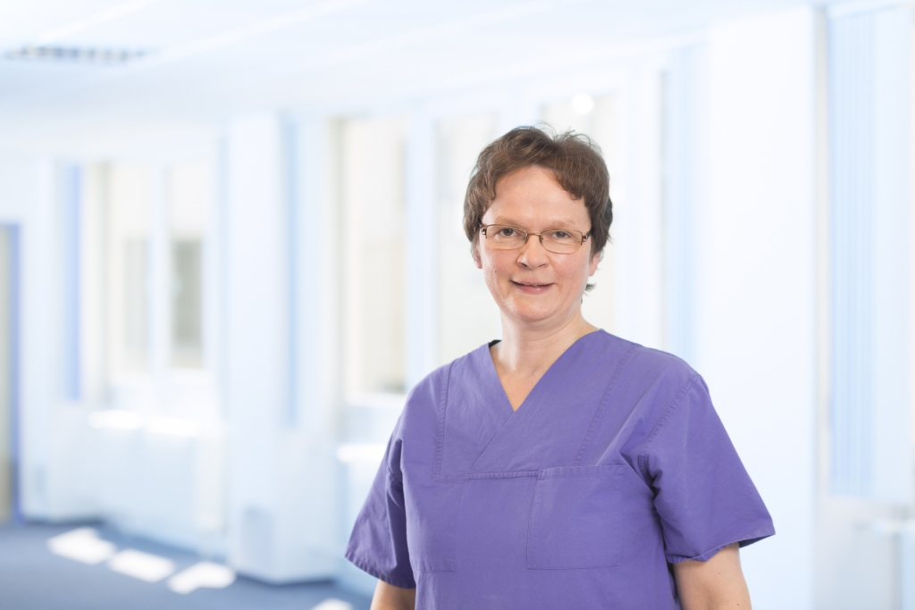 Team – Urogyn-Workshop